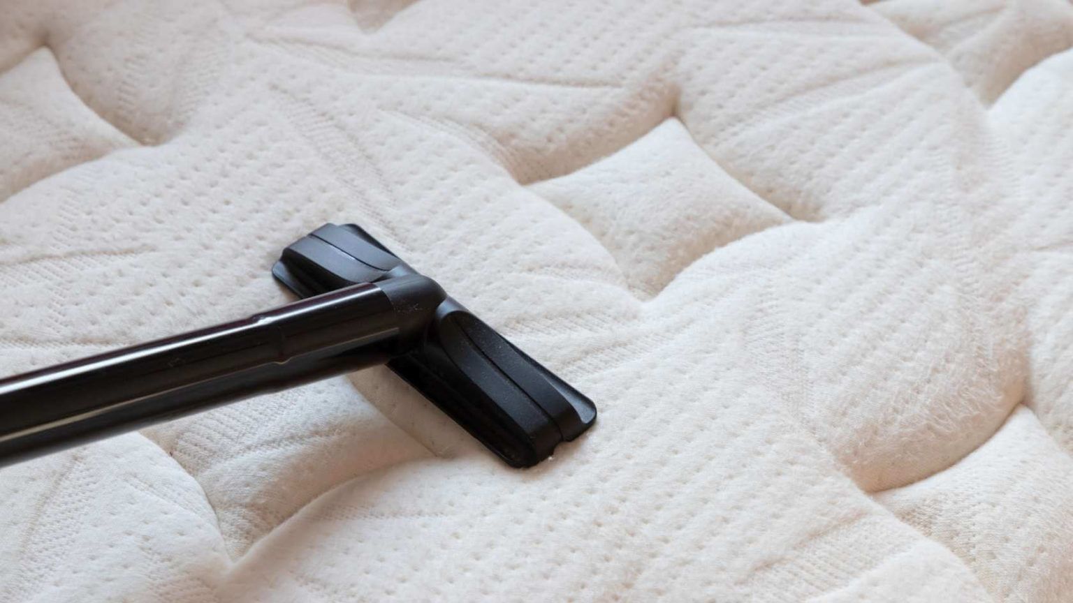 How to Clean a Mattress | Simple steps | Sealy Australia